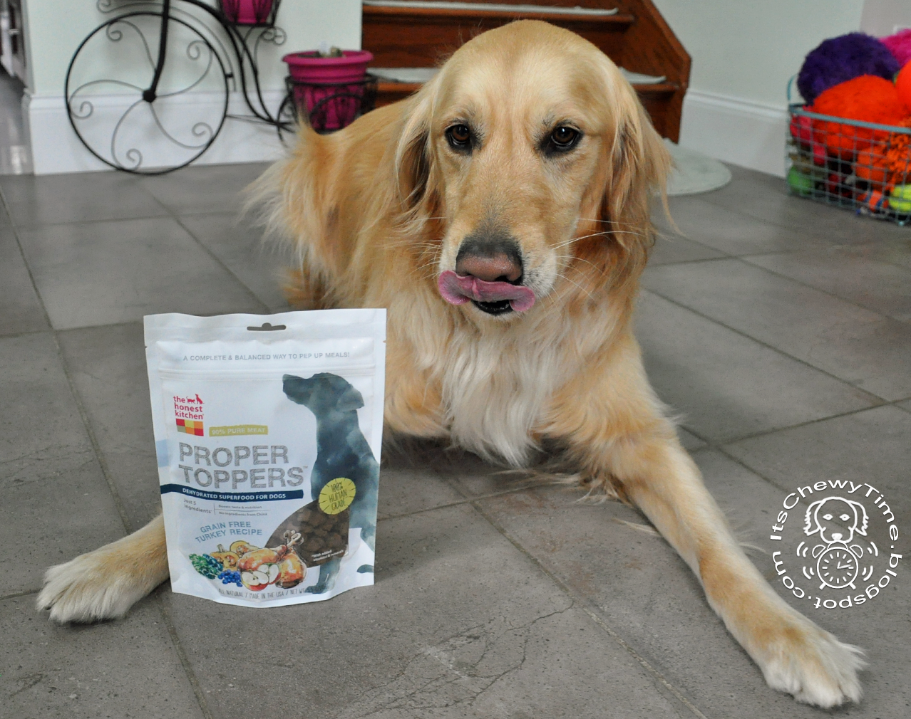 It's Chewy Time!: The Honest Kitchen Proper Toppers Grain-Free Turkey ...