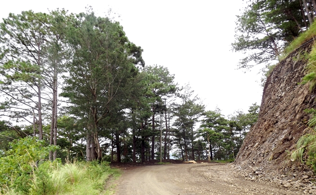 mybeautifulILOILO: The Captivating Views of Barangay Bucari in Leon