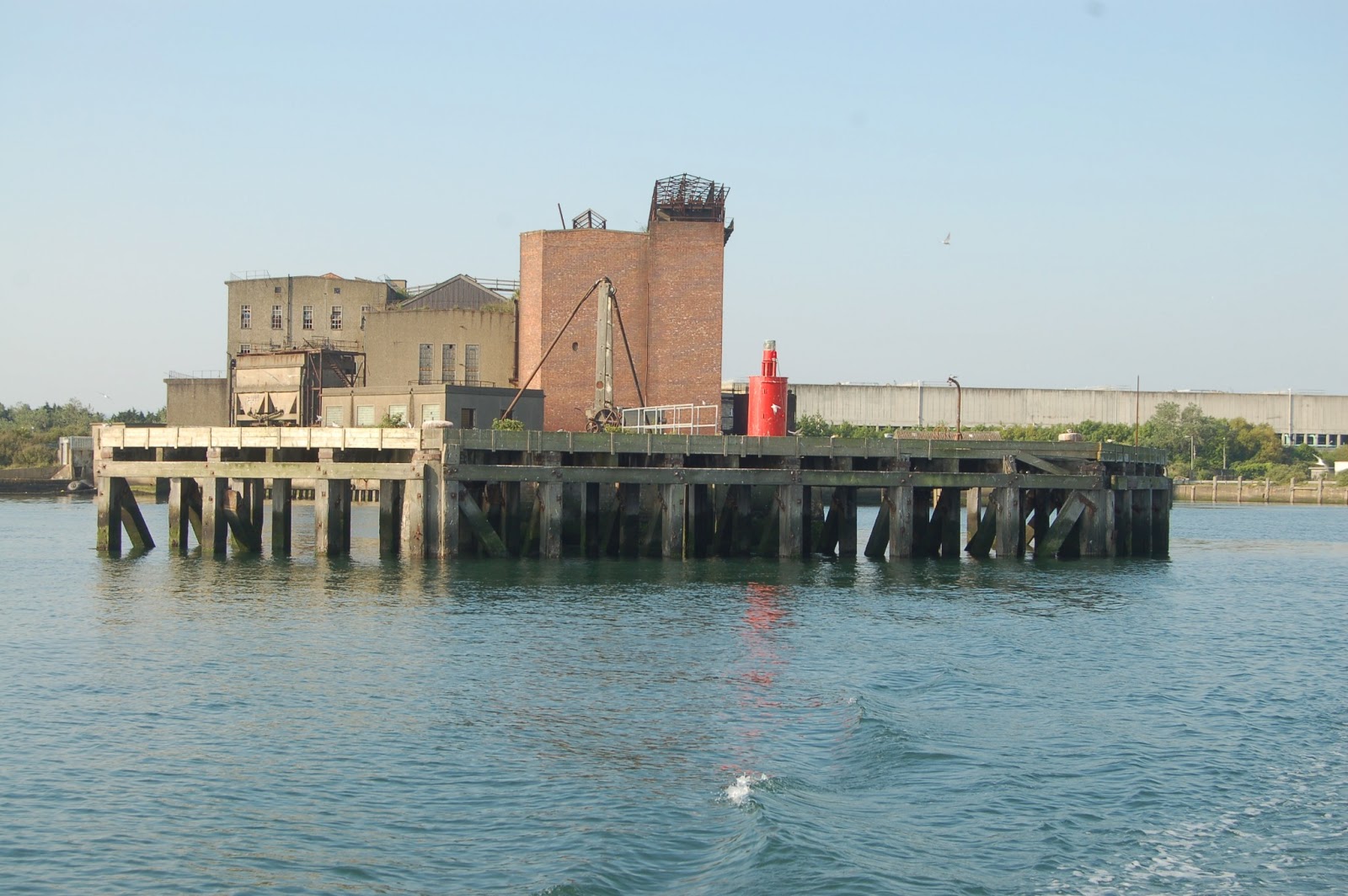 Dublin Bay Birds Project: Breeding Terns in Dublin Port
