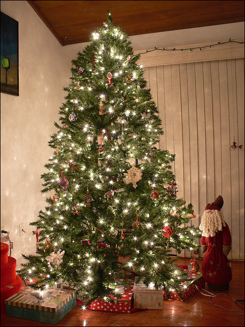 toekana: THE BEST CHRISTMAS TREES - ΤΑ ΩΡΑΙΟΤΕΡΑ ΧΡΙΣΤΟΥΓΕΝΝΙΑΤΙΚΑ ΔΕΝΤΡΑ