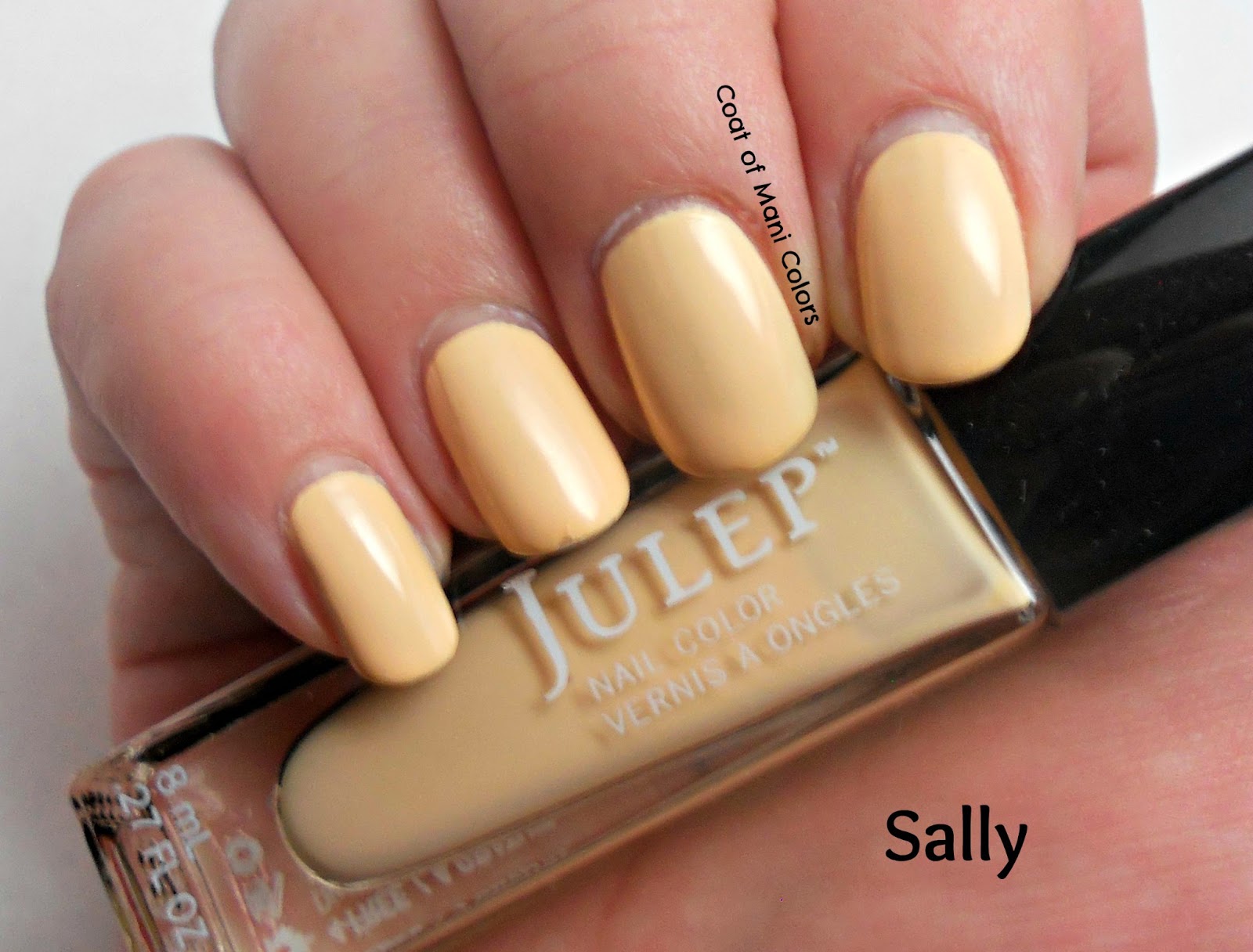 Coat of Mani Colors: My first swatch-a-palooza with Julep!