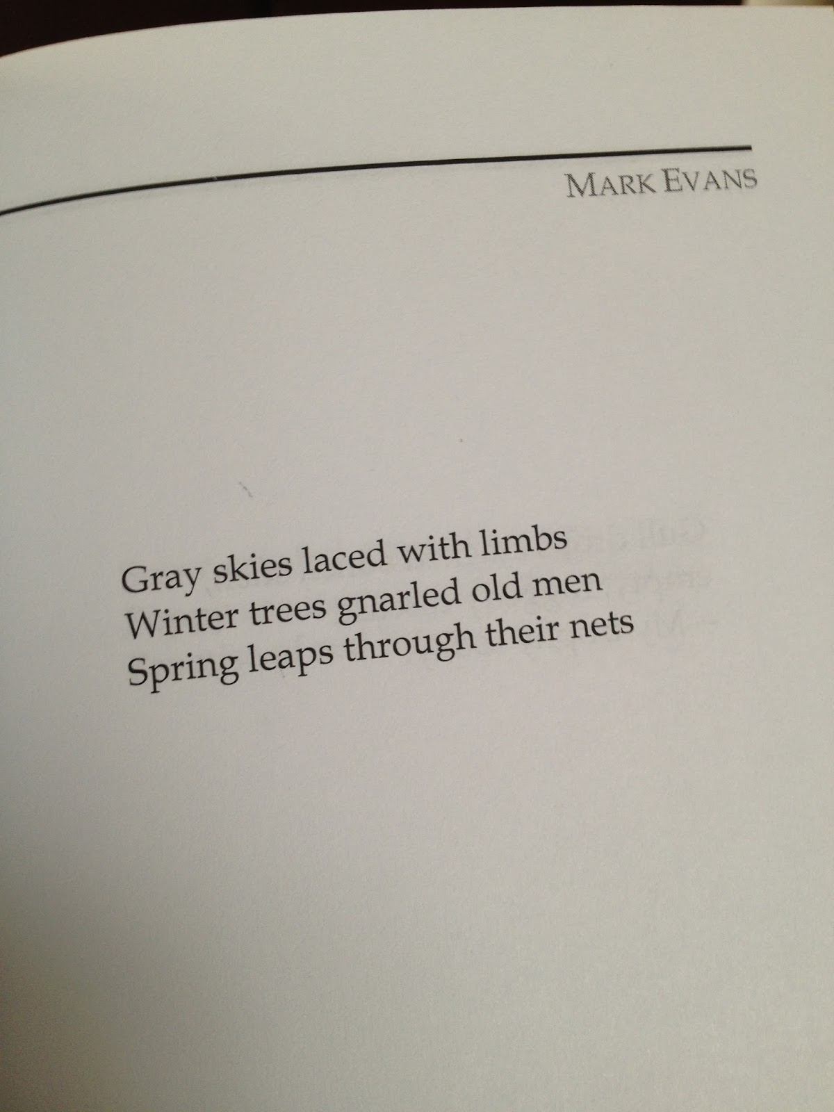 Susan Marie : Book Review: Three Line Poetry [Prolific Press]