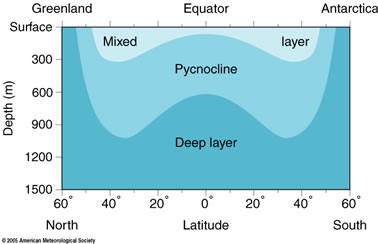 DE-DE KRISHNA BLOG: HALOCLINE, THERMOCLINE DAN PYCNOCLINE