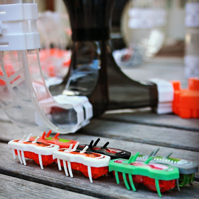 Bonggamom Finds: How to throw a HEXBUG bug-themed party