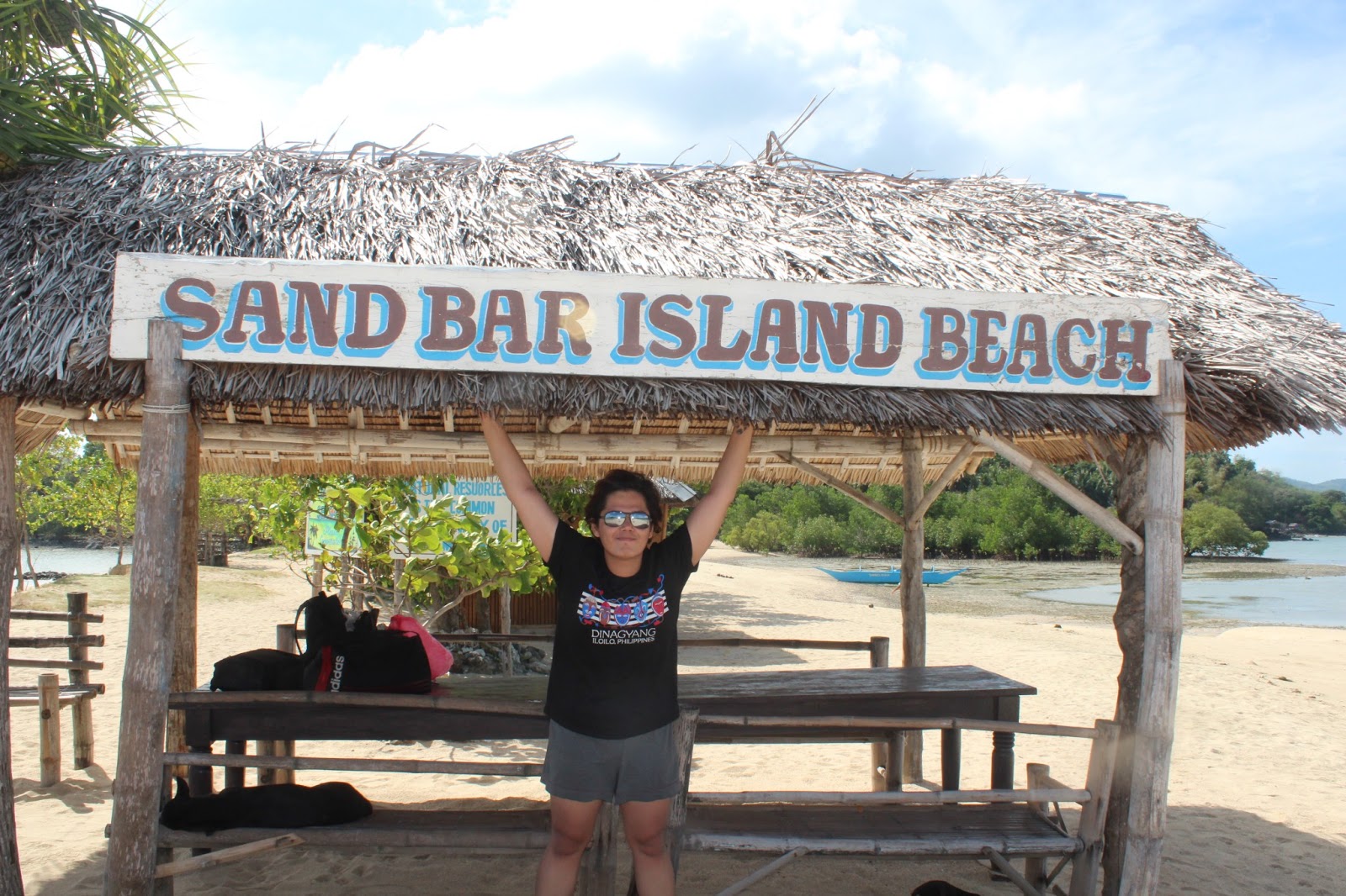 Sole Escape: Sand Bar Island Beach, Concepcion, Iloilo 2013 - with ...