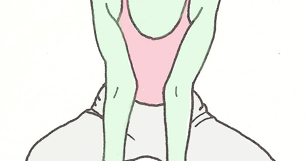 Simhasana – The Lion Pose - Vazhga Valamudan