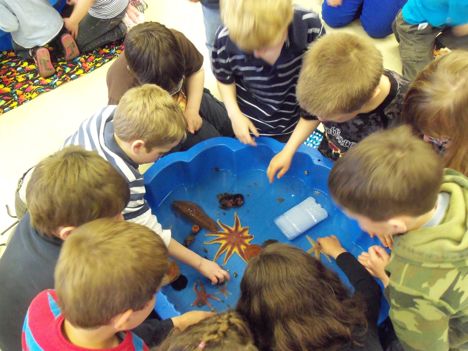 Huntsman Marine Science Centre: M. Gerald Teed Memorial School