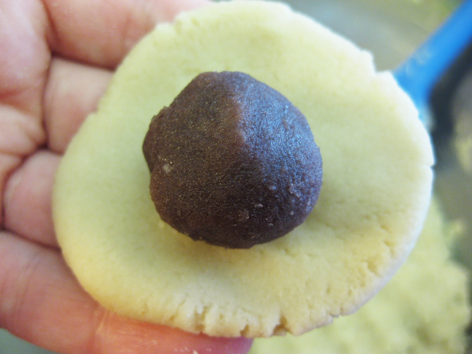 Bloatal Recall: Sesame Balls with Red Bean Paste