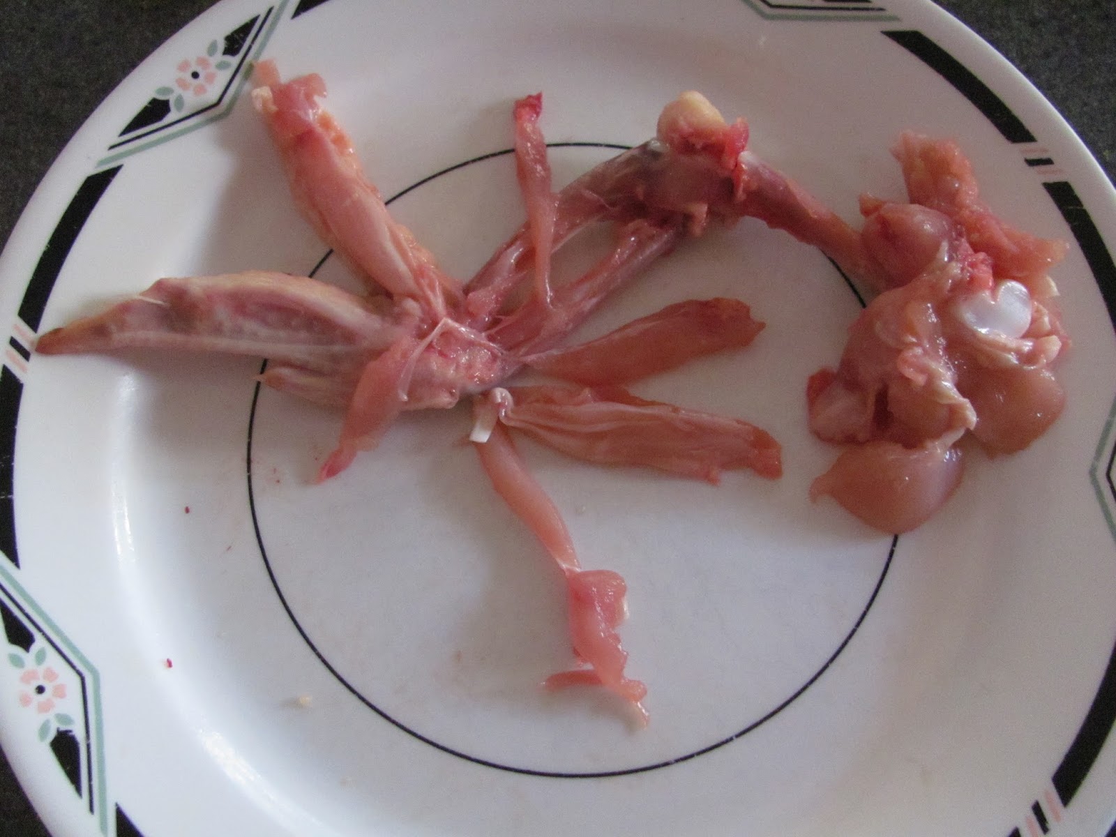 BIO 156, Fall 2015: Week 6. Chicken Wing Dissection Lab.