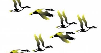 Inspirational Stories: Geese flying in a "V" formation
