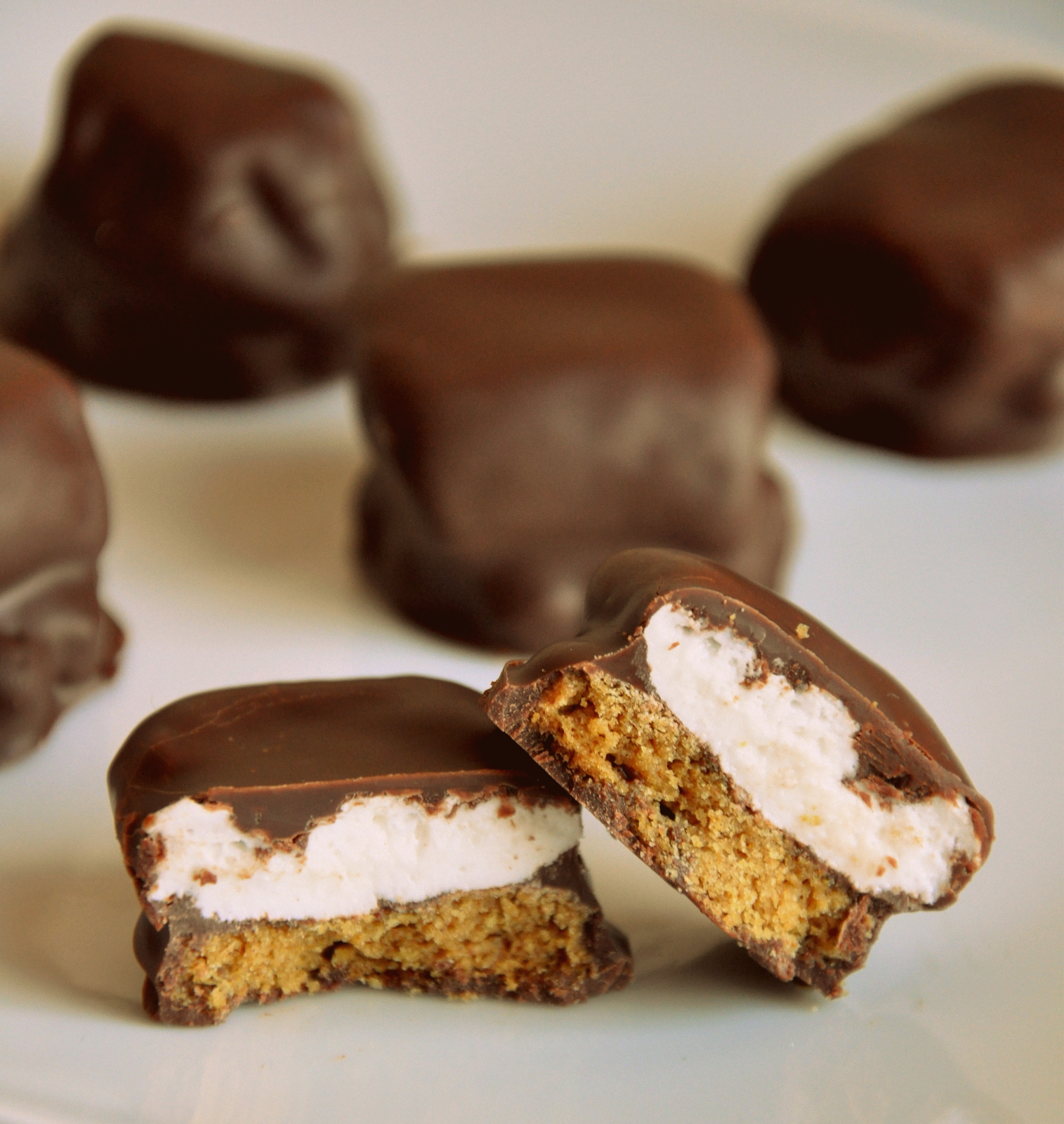 Mallomars 100th Birthday