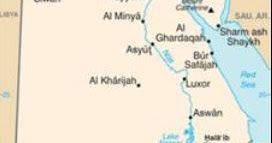 Avian Flu Diary: Egypt: MOH Statement On Investigation of Undiagnosed ...