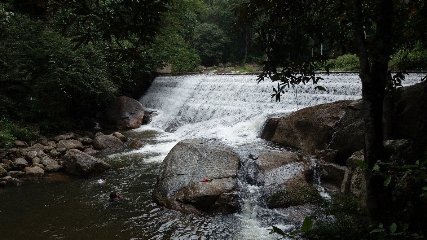 Mohd Faiz bin Abdul Manan: Hutan Lipur Ulu Kenas