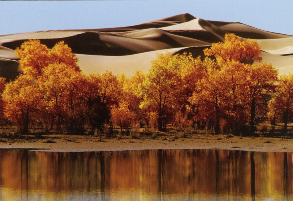 Postcard Interchange 明信片交流站: THE SCENERIES OF XINJIANG - DESERT （新疆风光-大漠）