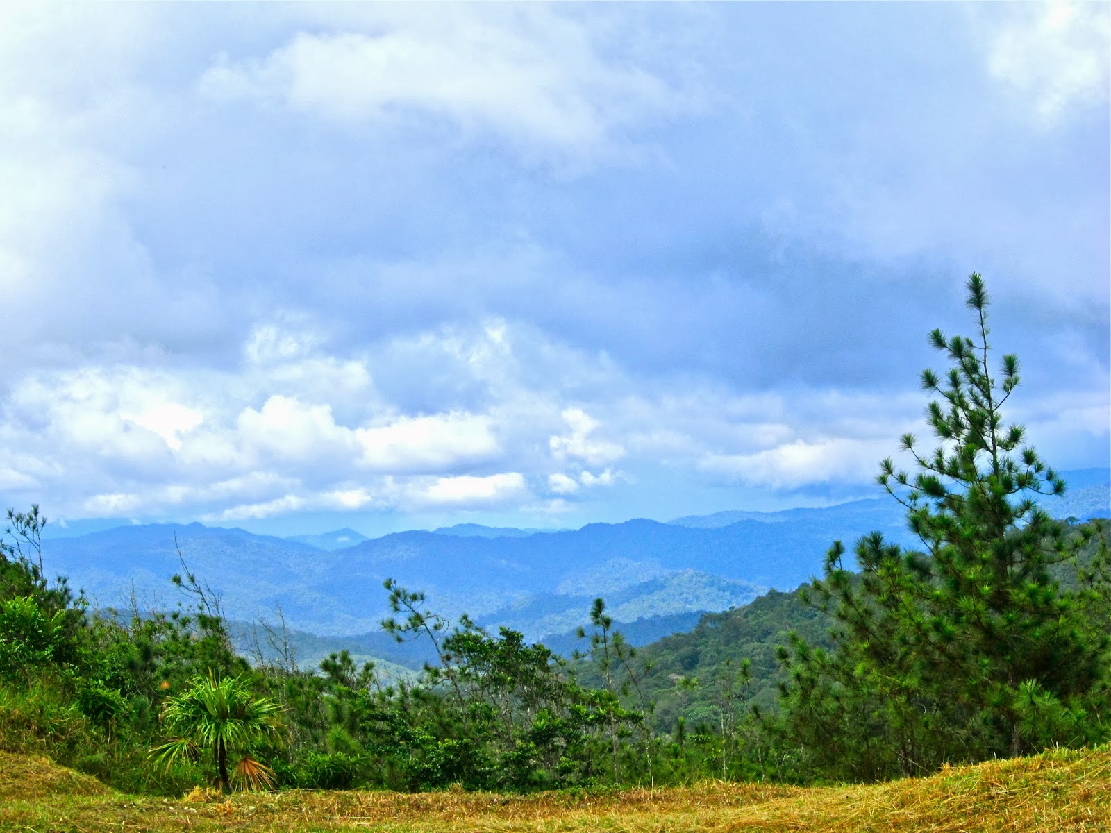 The Stay At Home Gringo--An Expat's Life In Panama: Check out Cerro ...