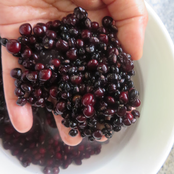 LUWEEH KITCHEN : Kadyos Baboy Langka (KBL Recipe)