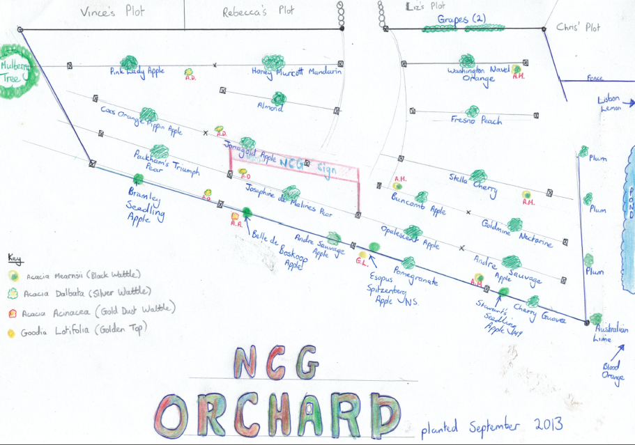 Northcote Community Gardens: Northcote Community Garden Orchard Map
