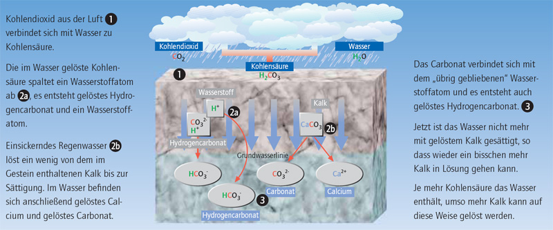 Baualarm bei Rina und Paddy: Kampf dem Kalk!