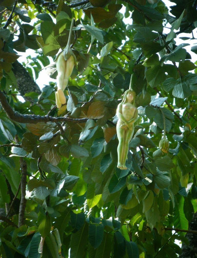 Facts!: The World's most amazing and unbelievable facts