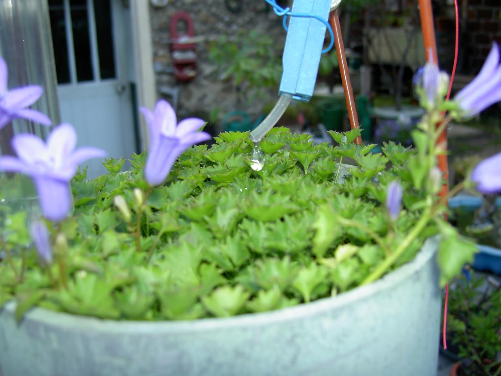 Đào Hoa: MOBILE VERTICAL PVC PIPE FLOWER GARDENS