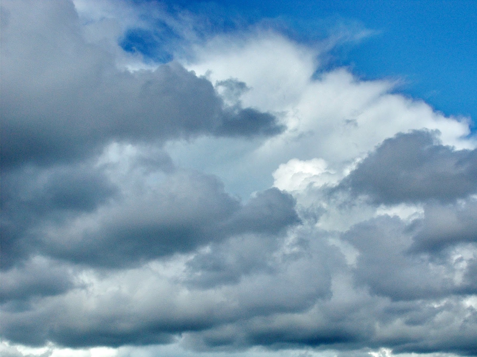 Björnidets blogg: Himlar över Oslo