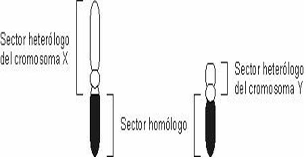 BIOLOGÍA SAN ISIDRO