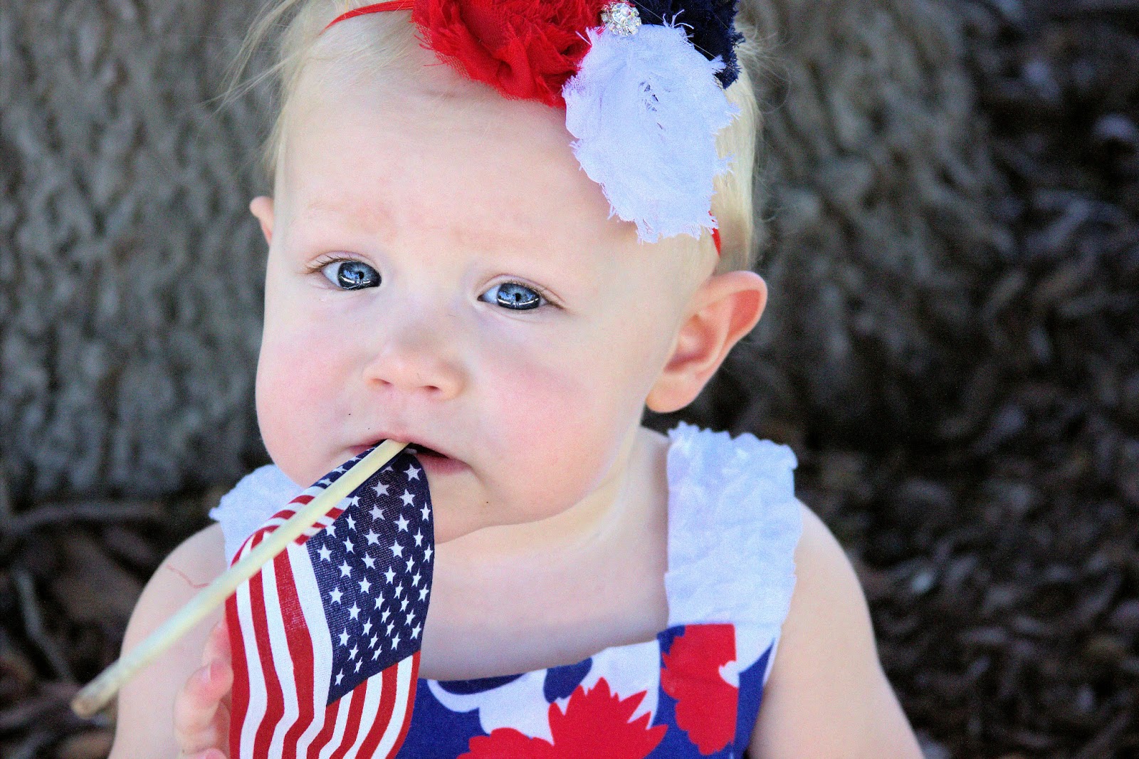 Life as a Ham: All American Babies