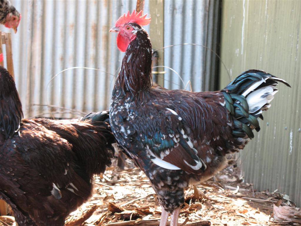 At Home with Kristy: April 2012