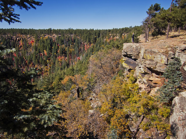 Made to Create: Mogollon Rim