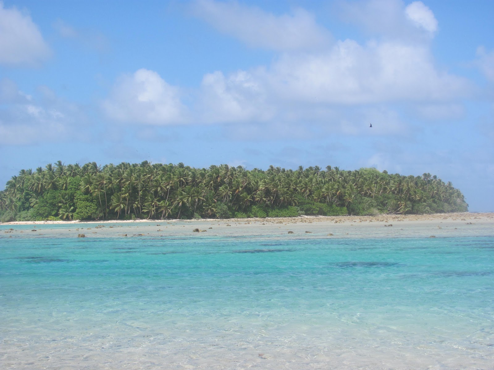 A Journey on the Edge of the World: The Definition of Paradise? Pingelap