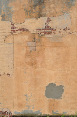 travis markel [photographer]