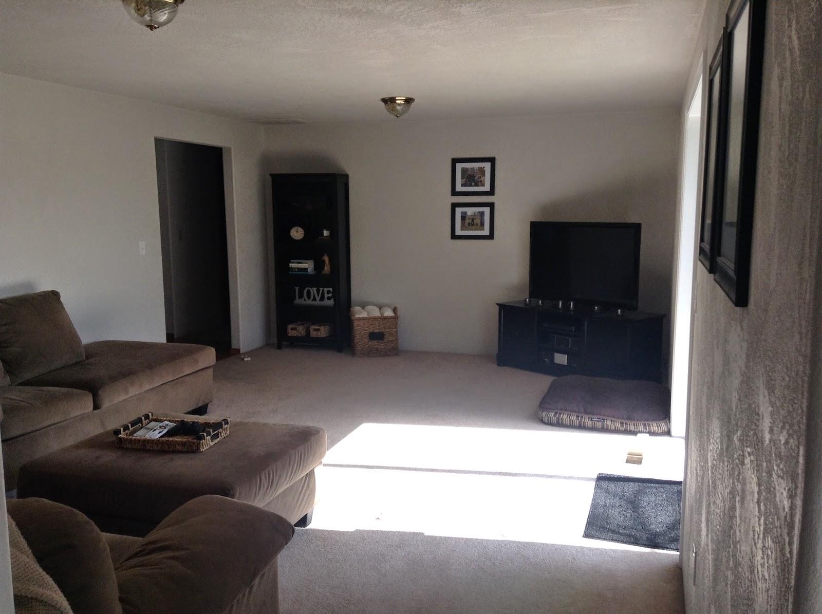 Design Showcase: Awkwardly Shaped Living Room | Schue Love