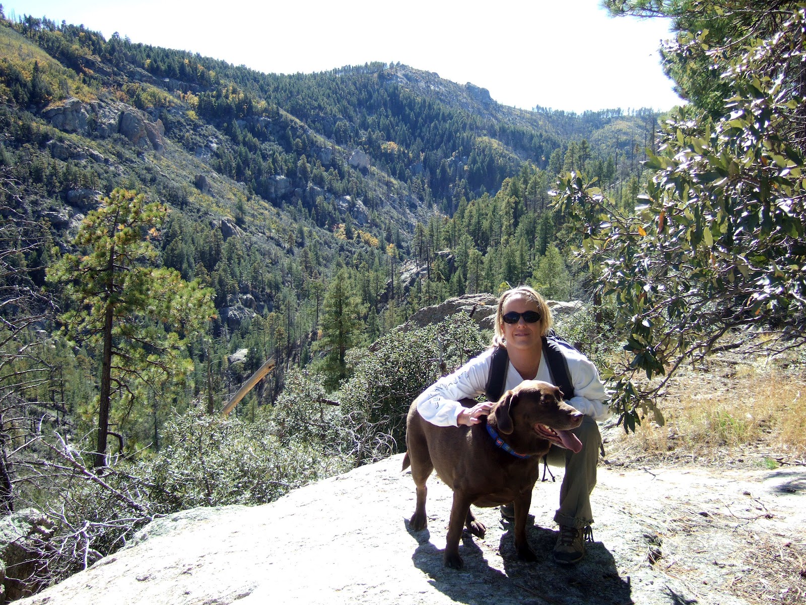 Fishing, Hiking, Trekking Blog: Reports - Stories - Pictures: Aspen ...