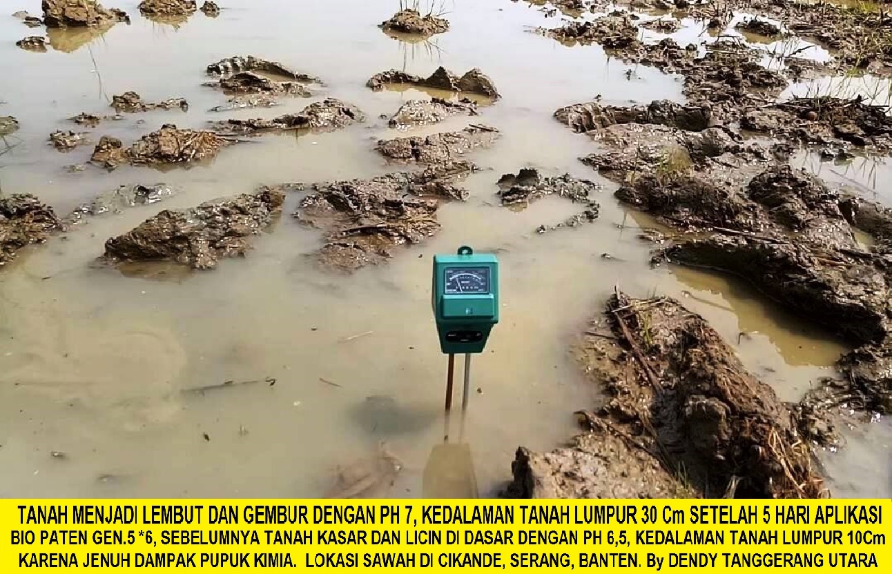 Tanah menjadi Gembur dan Lembut Setelah 5 Hari Aplikasi Bio PaTen Gen.5 *6
