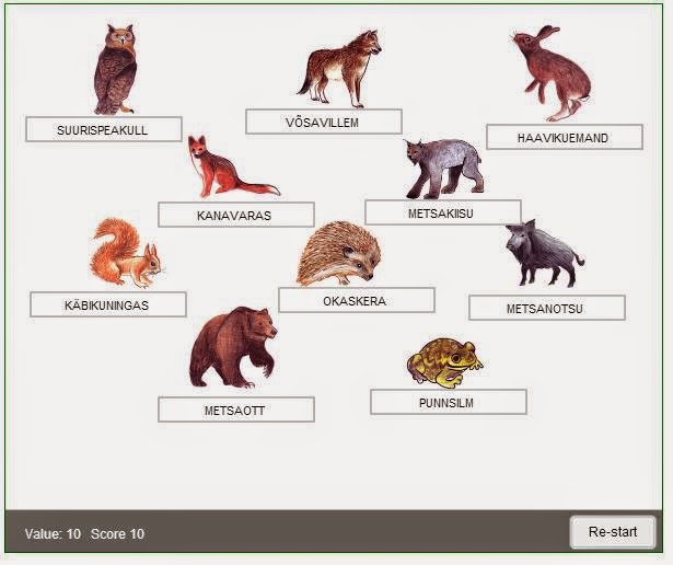 Konguta Kooli 24. lend