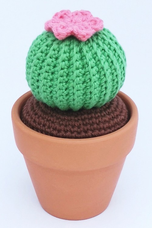 Beautiful Skills - Crochet Knitting Quilting : Mini Round Barrel Cactus ...