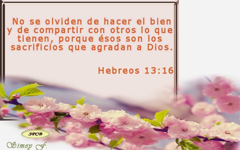 Evangelio Diario: El Dios que da la paz levantó de entre los muertos al ...