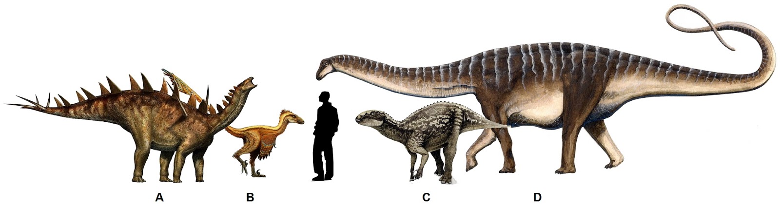 Made in Pangea: Un muro "de dinosaurios".