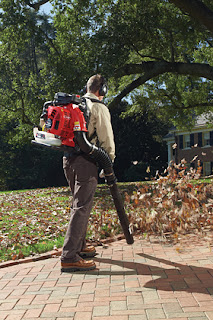 Redmax Blower Facts, Features which make Redmax Become One of the Best ...