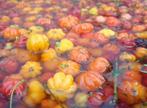 estilo gourmand: NATIVE AND DELICIOUS: The local berries of Rio de Janeiro