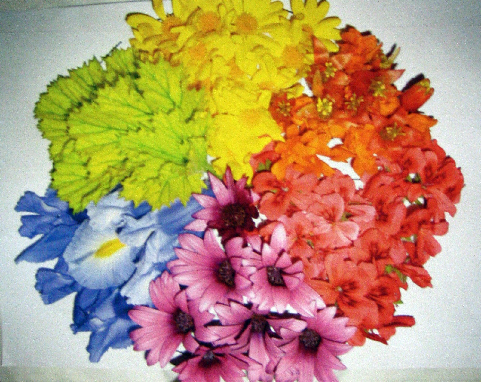 sarah bell smith: Year 9 colour wheels