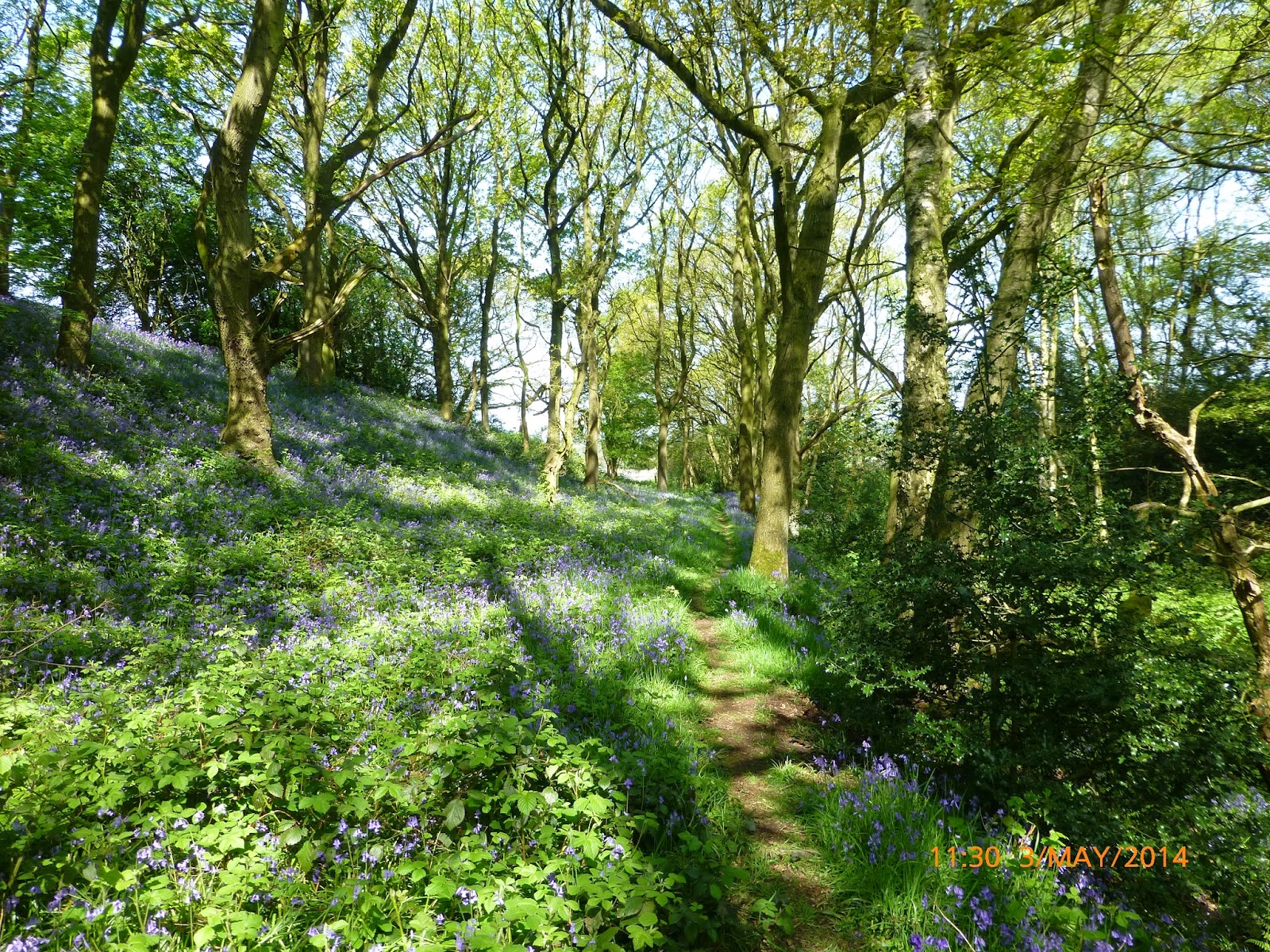 Harris Hikers: Mow Cop and Congleton Edge 3rd May 2014
