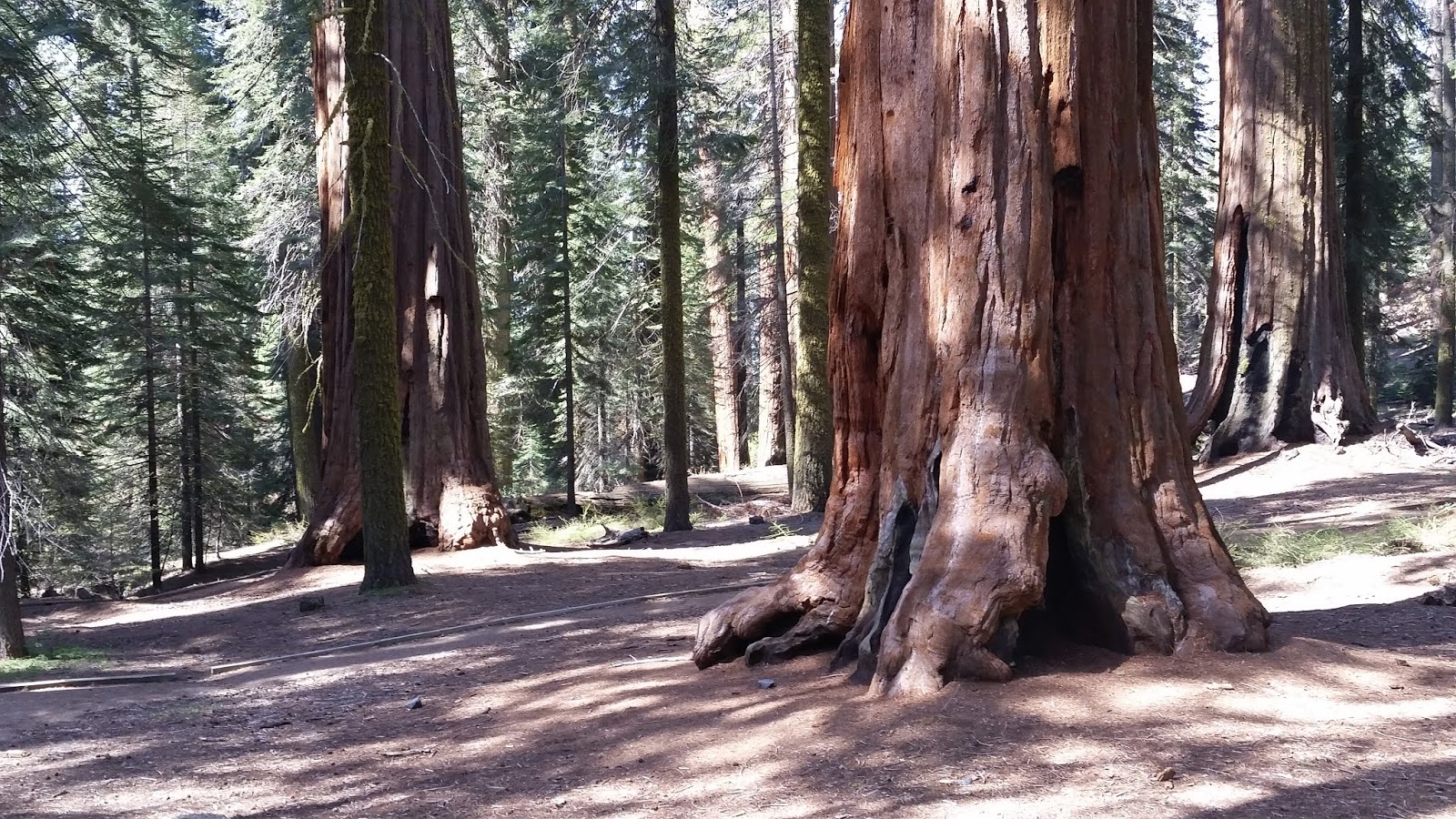Wes' Travels to California Lakes: Wishon Reservoir - Fresno County ...