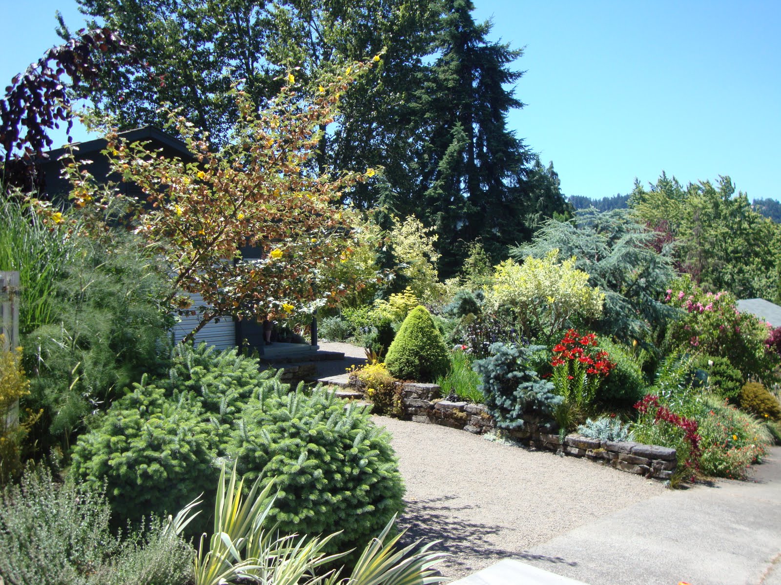 danger garden: Mosaic Gardens