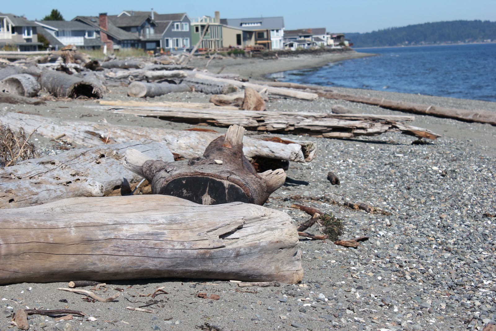 Romneys on Bainbridge: Fay Bainbridge & Lytle Beach