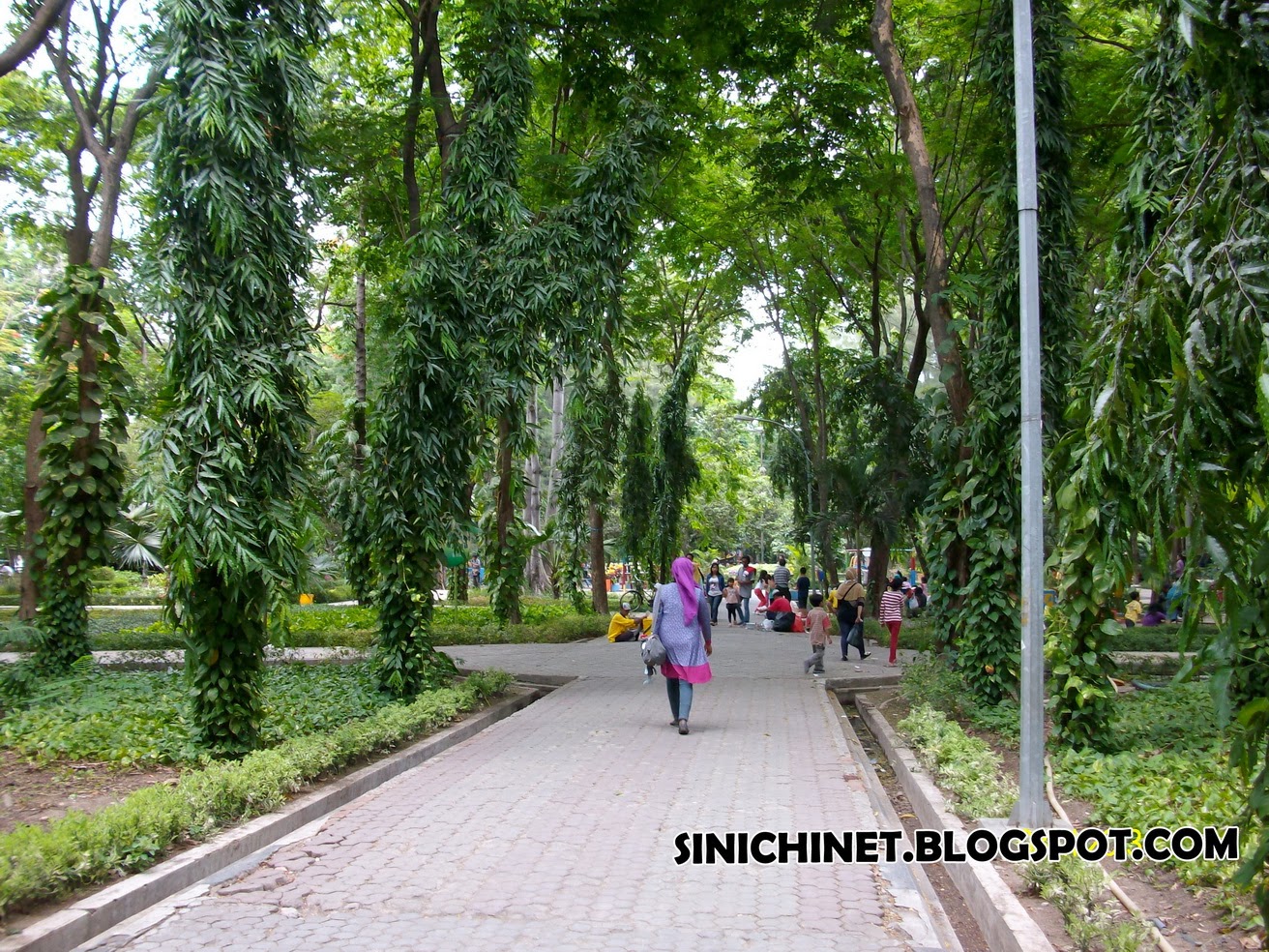 Taman Flora (Kebun Bibit) Bratang Surabaya | SINICHINET