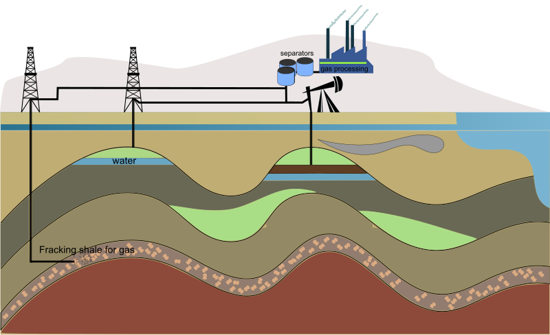 CBSE Papers Questions Answers MCQ CBSE Class 8 Science Coal And Petroleum Q And A cbse-papers-questions-answers-mcq-cbse-class-8-science-coal-and-petroleum-q-and-a