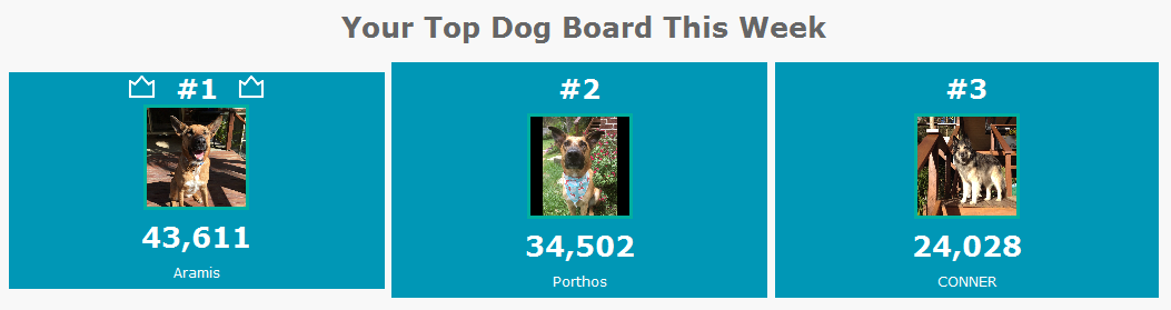 FitBark Dog Activity Monitor | Australian Dog Lover