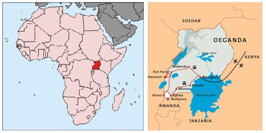 Cultuurprik Gwendolien: En toen moest ik mijn broer doodbijten ~ Els De ...