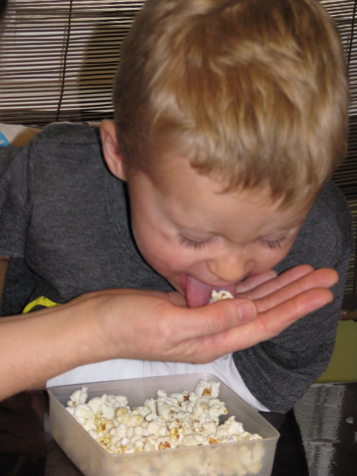 Making Merry Memories